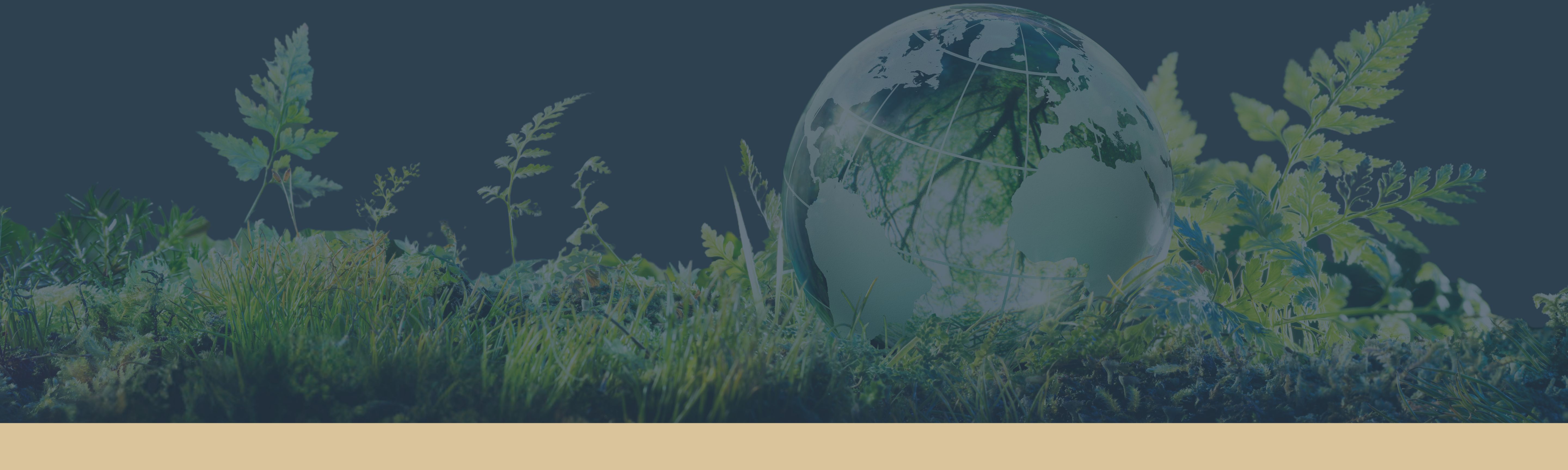 Global Ethics Sustainability Standards | Ethics Board